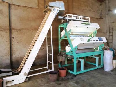 China Black Green Tea Color Sorter Tea Optical Sorting Machine for Tea Processing for sale