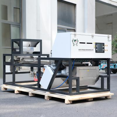 China Wenyao Belt Type Camera Color Separator Walnut Processing Machine Nut Color Sorting Machine for sale