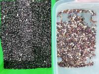 China Intelligent CCD Camera 6 Chute Kidney Bean Color Sorting Machine with Easy Operation for sale