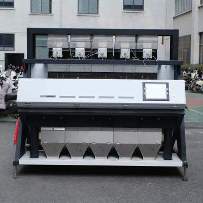 China Wenyao 5 Chute Multifunction Sorghum Corn Maize Wheat Barley Rice Color Sorting Machine for sale