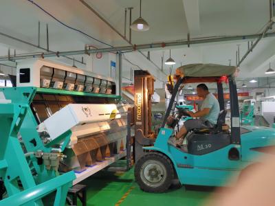 China 8 Chutes 512 Channels Red Quinoa Oat Grain Sorter Machine For Remove Dislike Color for sale