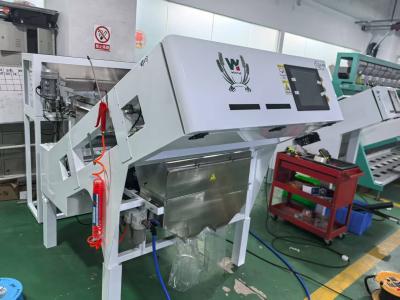 China Intelligent Optical Coffee Cherries Color Sorter Cocoa Beans Sorting Machine Coffee Bean Color Sorter for sale