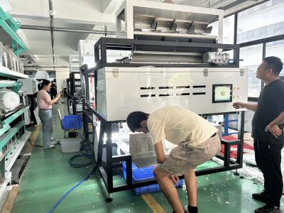 China Optical WYDB4 Soapberry Color Sorting Machine for Soup Pods Color Separator Machine With High Sorting Capacity for sale