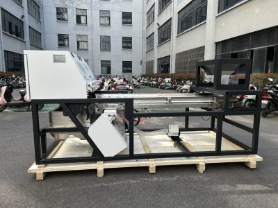 China 600mm Belt Width High Capacity Juniper Color Sorter Dried Raspberry Blueberry Grain Color Sorting Machine for sale