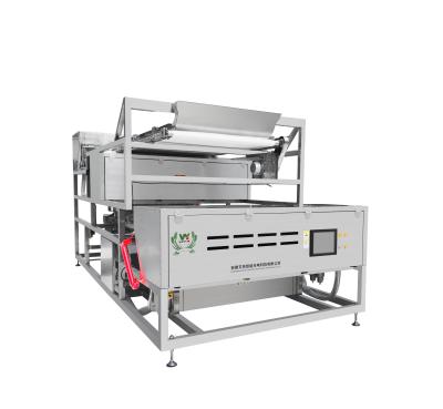 China Digital Color Sorter Machine for Nuts with 8/512 Chutes/Channels 4-10t/h Throughput and ≥99.99% Sorting Accuracy for sale