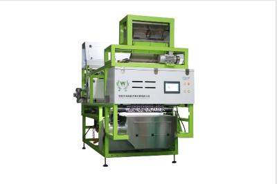 China Wenyao  High Precision Dry Chili Sorting Machine For Red And Green Pepper Sorting Machine  Fresh Chili Colour Sorter for sale