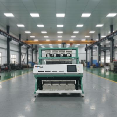 China WENYAO Top-quality Optical Large Rice CCD Color Sorter for Sale Sesames Optical Sorting Machine 2026 for sale