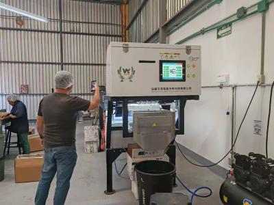 China AI Cloves Color Sorting Machine Headless  Cloves Machine With Deep Learning Shape Sorter Machine for sale