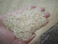 China Wifi Remote Rice Grading Machine for sale