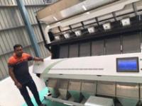 China Basmatic Rice Sorting Machine for sale