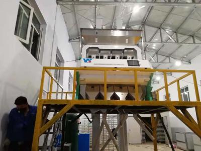 Китай Многофункциональные каналы машины 256 сортировщицы цвета для сортировать риса продается