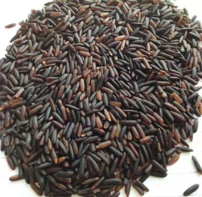 Cina CCD intelligente Nir Sensor Black Rice Sorter per la riseria che classifica trasformando riso in vendita