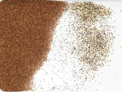 China Red Quinoa Optical Sorting Machine Multi Functional With Toshiba Camera for sale