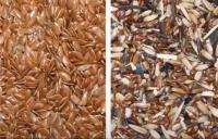 China Radish Seed Multifunction Color Sorter Toshiba CCD Sensor for sale