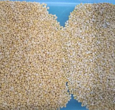 Cina Vaglio di Mini Multifunctional Grain Seeds Color/macchina agricola del selezionatore di colore di Wolfberry /Raisins in vendita