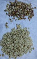 China WENYAO Peeled Garlic Separating Machine with high frequency ejectors for sale