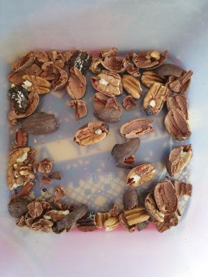 China Mini Belt Type Horizontal Nuts Color Sorter From China for sale