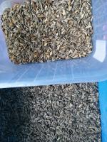 China CE ISO9001 Seeds Sorting Machine With Intelligent Full Color Camera for sale