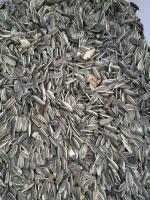 China CE ISO9001 Seeds Sorting Machine With Intelligent Full Color Camera for sale