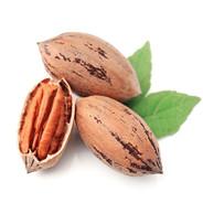 Cina Vaglio matto del separatore del pecan per il selezionatore di colore della noce di betel della noce del pinolo in vendita
