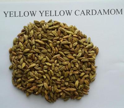 Cina Selezionatore di colore di 512 fagioli dei canali, controllo di WIFI del vaglio del cardamomo di 8 scivoli in vendita