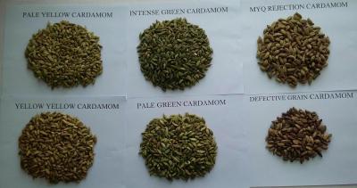 China WENYAO Coffee Bean Selecting Machines Coffee Bean Separation AI Optical Sorting Machines for sale