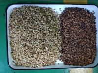 China 6.5kw 15t/h Walnut Processing Machine for Grading And Cleaning for sale