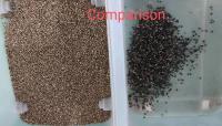 China High Resolution Hump Seed Color Sorter , Flax Seed Processing Machine for sale