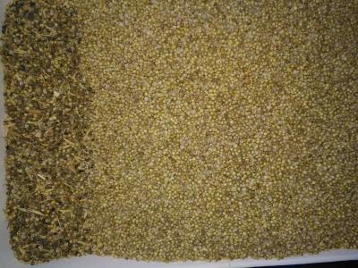 Cina Potere di TAIWAN Meanwell del selezionatore di colore del seme di coriandolo con una garanzia da 2 anni in vendita