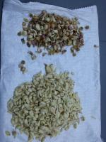 China WENYAO Peeled Garlic Vegetable Sorting Machine Automatic computing for sale