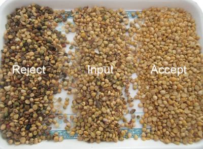 China Automatic CCD RGB Bean Color Sorter for sale