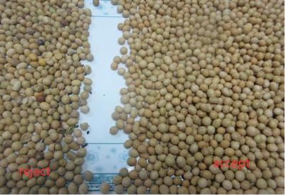 China Automatic CCD RGB Bean Color Sorter for sale