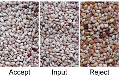 China Automatic CCD RGB Bean Color Sorter for sale