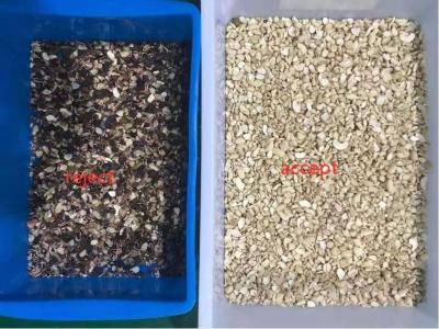 China 256 Channels Nuts Color Sorter 4 Chutes 99% Sorting Accuracy for sale