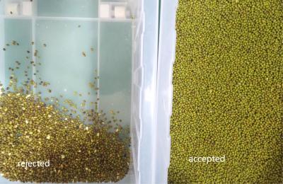 China 192 Channels MultiFunction Mung Bean Color Sorter Machine 3000kg/H for sale