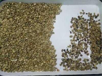 China Kidney Cocoa Bean Color Sorter Machine With 400 Pixel CCD for sale