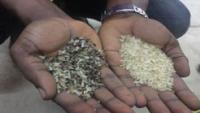 China Optical 192 Channels CCD Rice Color Sorting Machine For Rice Mill for sale