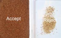 China Optical 192 Channels CCD Rice Color Sorting Machine For Rice Mill for sale