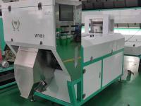 China Walnut Ccd Belt Color Sorter 99.99% Sorting Accuracy for sale