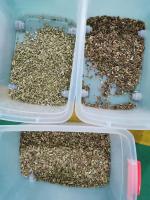China Optical cardamom colour sorting machine Multifunction for sale