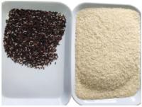 China CCD Mini Brown Rice Color Sorting Machine 32 Channels for sale