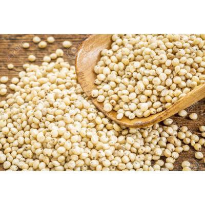 Cina Vaglio del sorgo dei canali degli scivoli 640 di Hicapacity 10 di colore cinese del riso in vendita