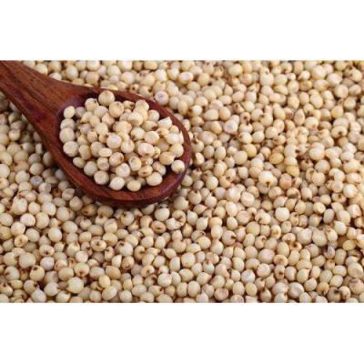 Cina Vaglio del sorgo dei canali degli scivoli 640 di Hicapacity 10 di colore cinese del riso in vendita