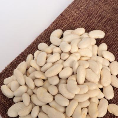 China High Output Farmland Automatic Haricot Navy Beans Color Sorter Popular in the USA for sale