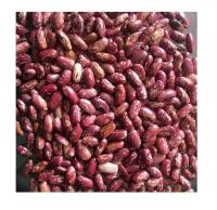 China WENYAO 240V Color Sorter For Beans Processing Line for sale