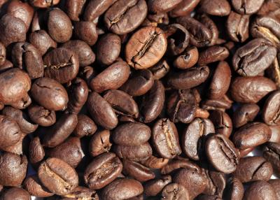 China 2 Years Warranty High Quality CCD Fully Automatic Coffee Beans Color Sorter Machine for sale