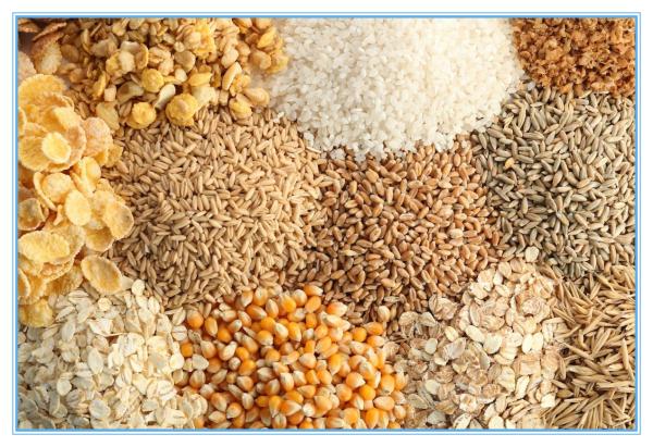 Wenyao Infrared CCD Camera Grain Color Sorting Machine Optical Peanut Maize Color Sorter