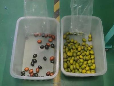 China 5400 Afstandsbediening van de Rozebottelcherry beans sorting machine wifi van de Pixel de Hoge Nauwkeurigheid CCD Te koop