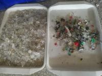 China Recycled Mixed Plastic Flakes Multifunction Color Sorting Machine ISO9001 Approval for sale