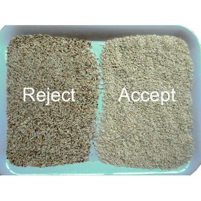 China High Quality Cheapest CCD Cotton Seed Sesame Coix Seed Color Sorting Machine With WIFI for sale
